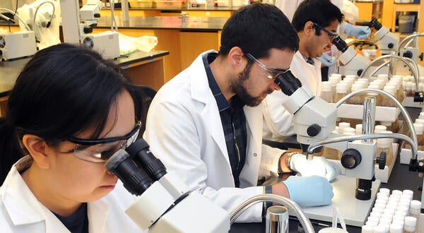 New Students | Apply | Undergraduate Admissions | UC Riverside