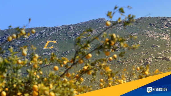 uc-riverside_uga-intl_zoom_background_6.jpg | Undergraduate Admissions
