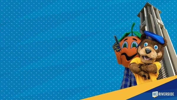UC Riverside Zoom Video Background - Preview Image | Undergraduate ...
