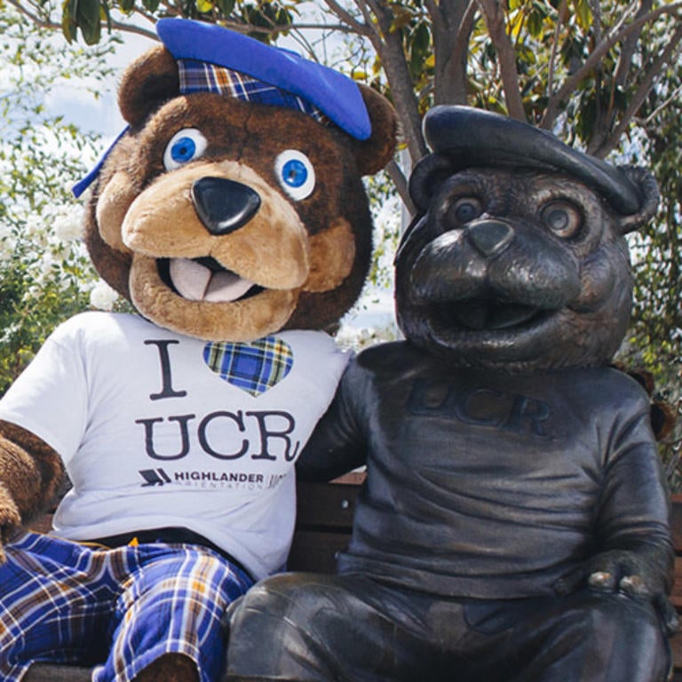 Thank You! | Undergraduate Admissions